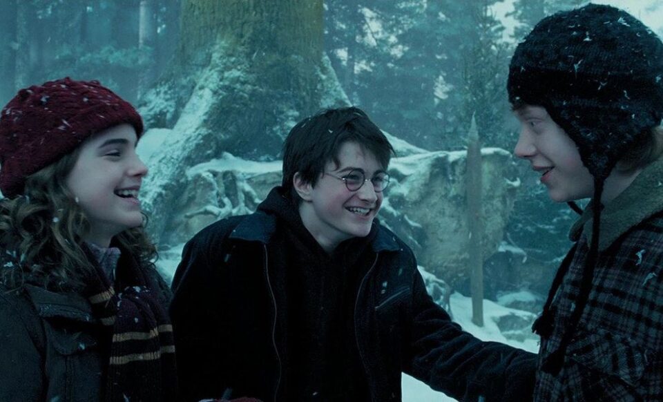 Who is Mattheo Riddle and Is He In Harry Potter? - PotterTalk.Net